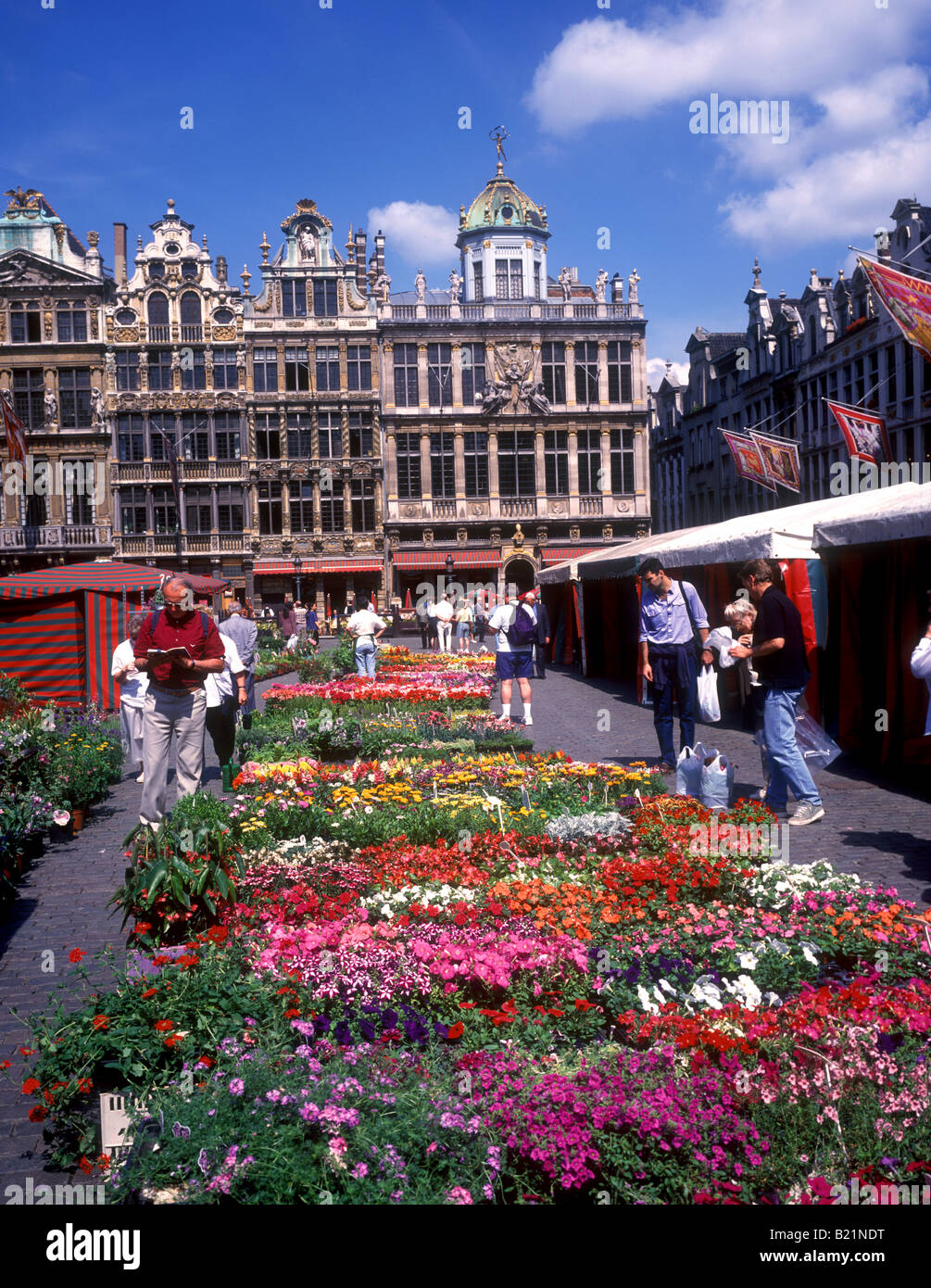 Brussels - Colourful flower stalls in the Grand Place Stock Photo - Alamy