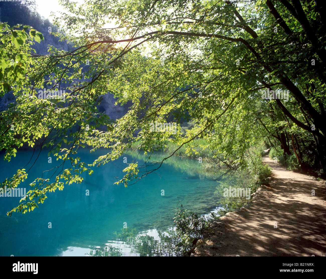 Beautiful lake scene in Plitvice National Park Stock Photo - Alamy