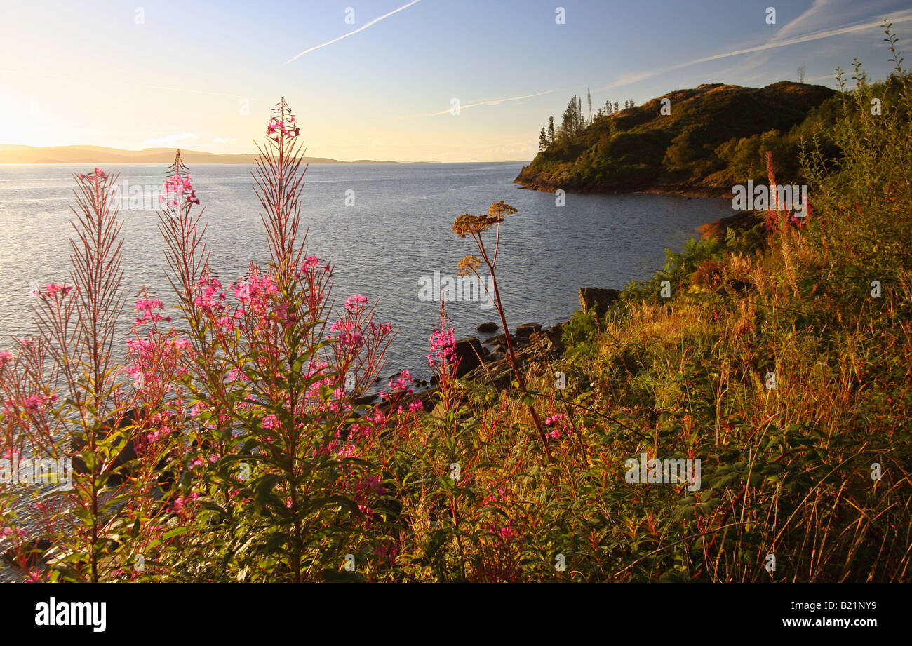 Barmore island kintyre coast hi-res stock photography and images - Alamy