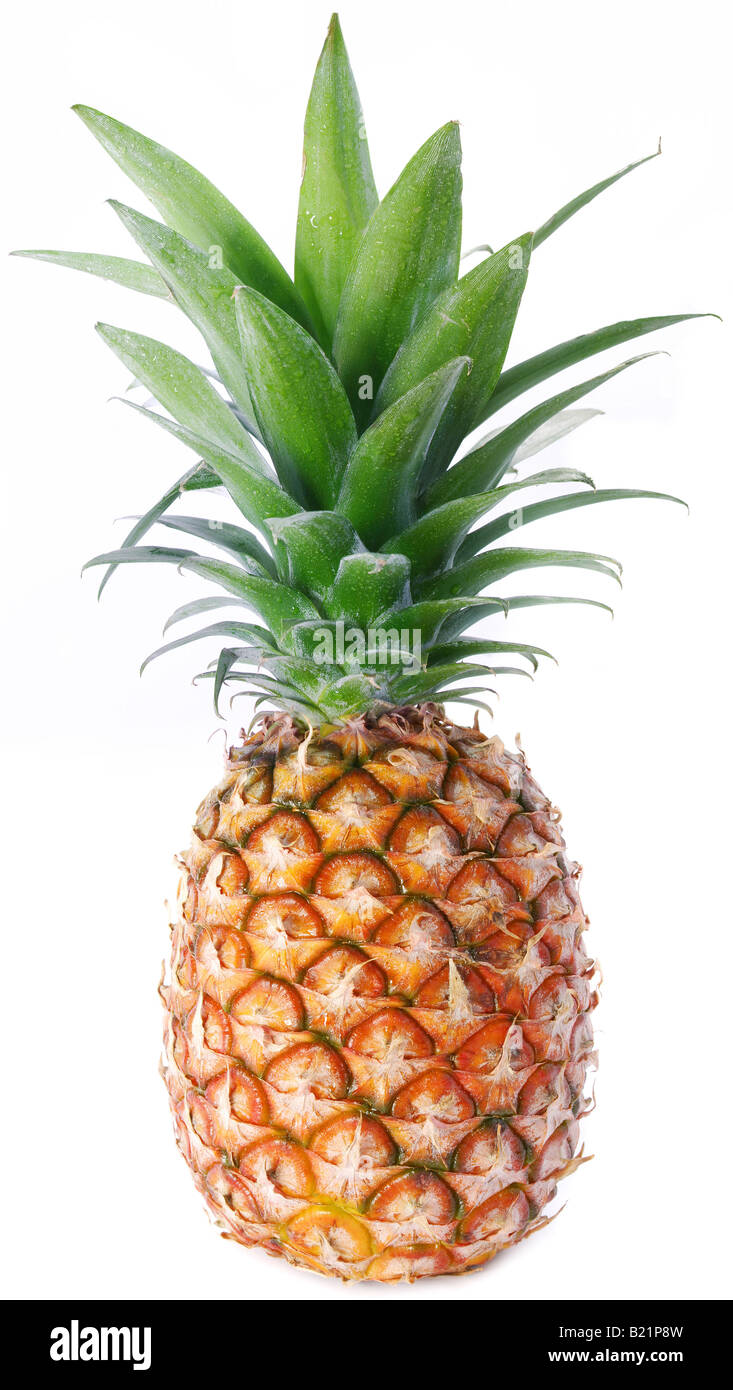 Pineapple objects on white background Stock Photo - Alamy