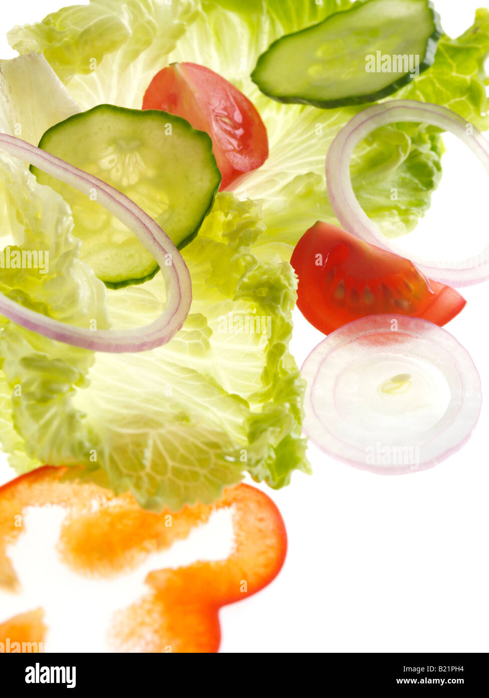 Batavia lettuce salad on a white background editorial food Stock Photo ...