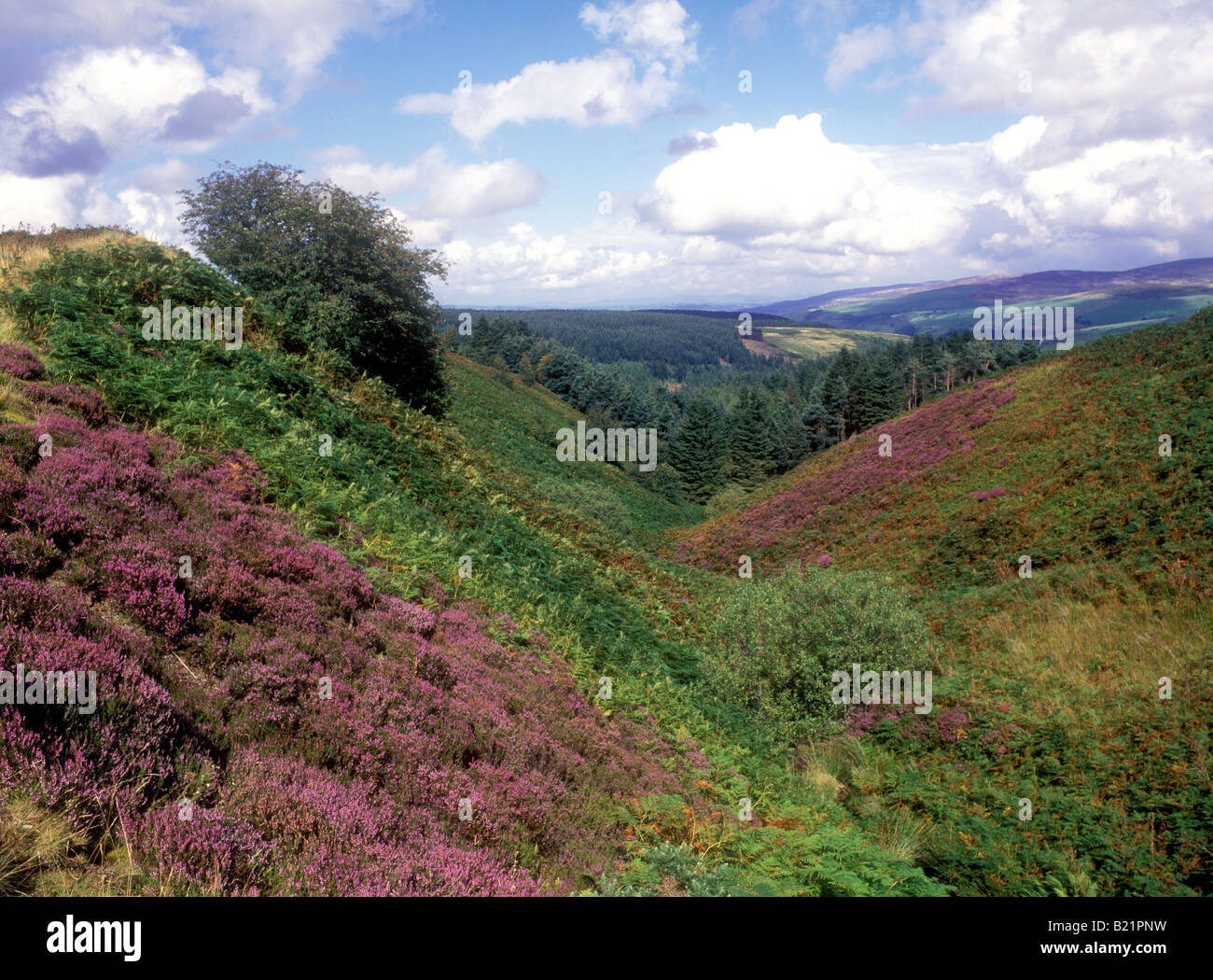 Llangynog hi-res stock photography and images - Alamy