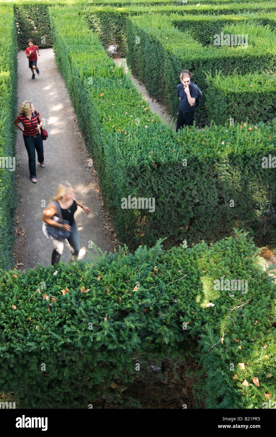 Hedge Labyrinth Schonbrunn Palace Gardens Vienna Austria Europe Stock ...