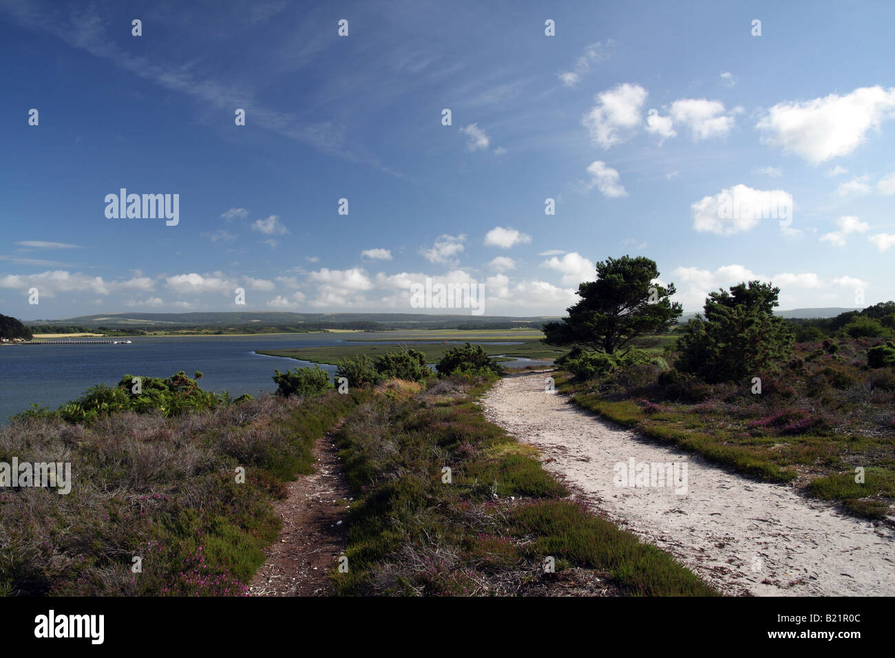 The view from Arne village in Poole harbour Stock Photo - Alamy