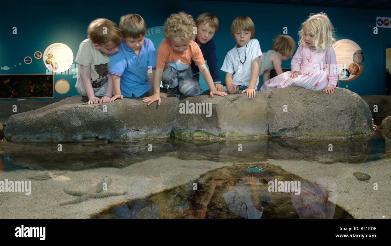 Children at the touch pools Plymouth Devon UK Stock Photo - Alamy