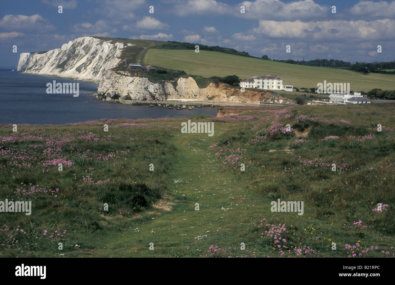 horizontal landscape view of National Trust owned Tennyson Down coastal ...