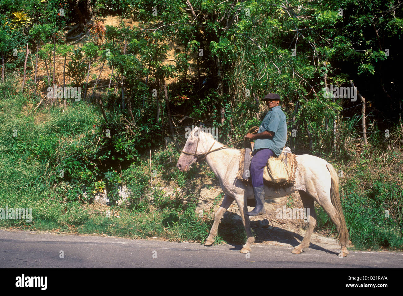 Rural dominican man portrait hi-res stock photography and images - Alamy