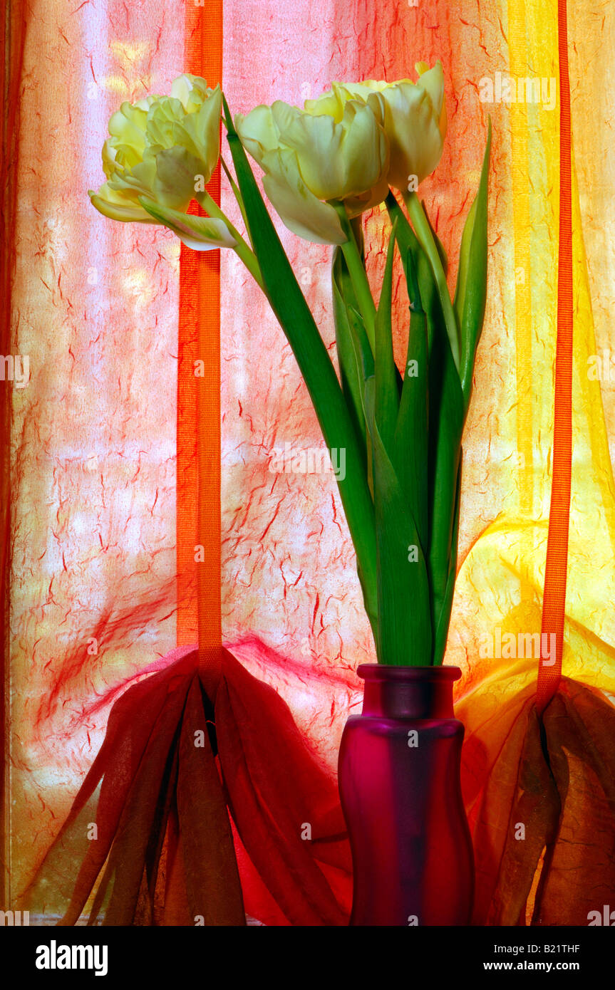 Beautiful composition flowers floral hi-res stock photography and ...