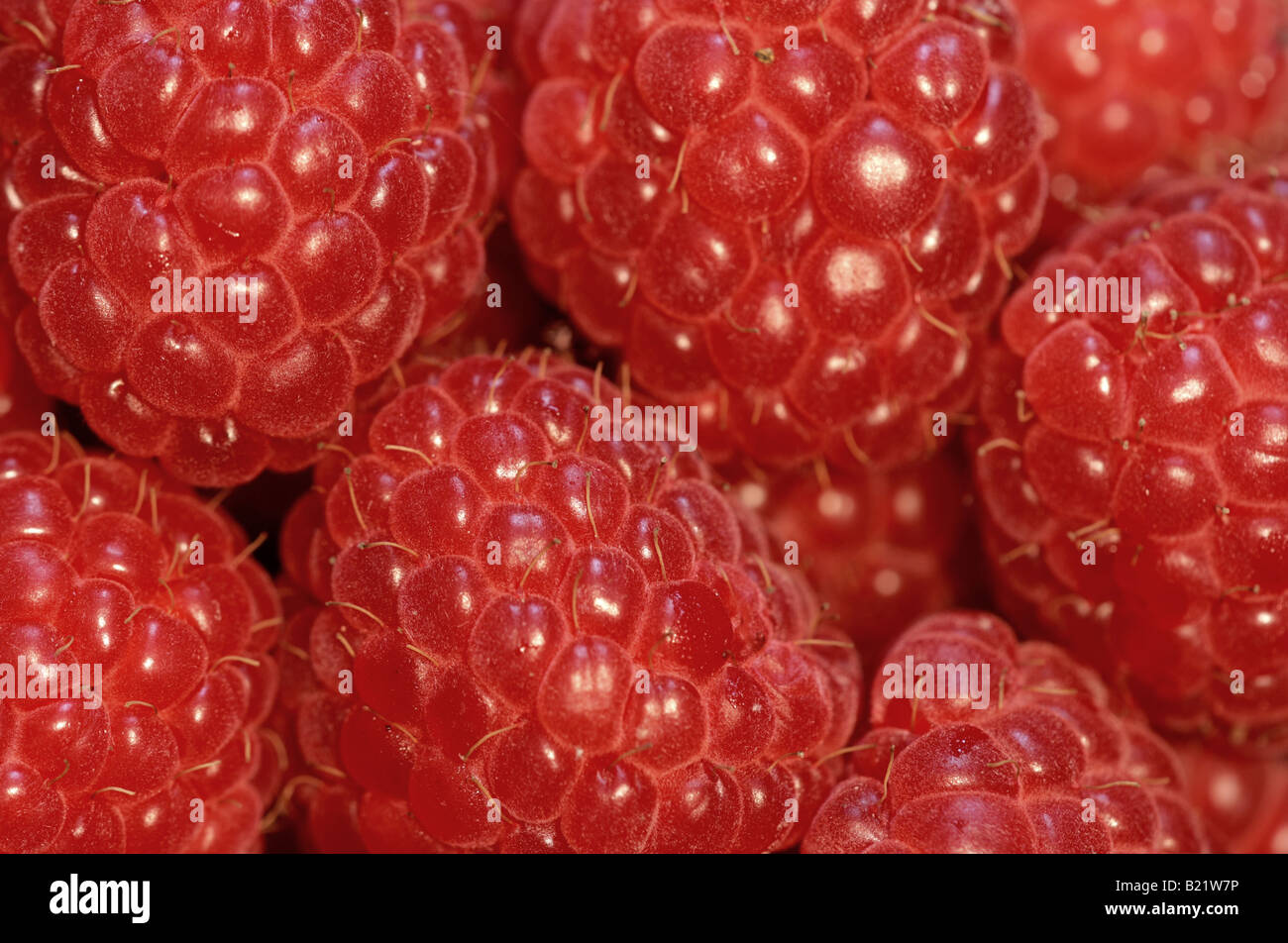 Old school deli hi-res stock photography and images - Alamy