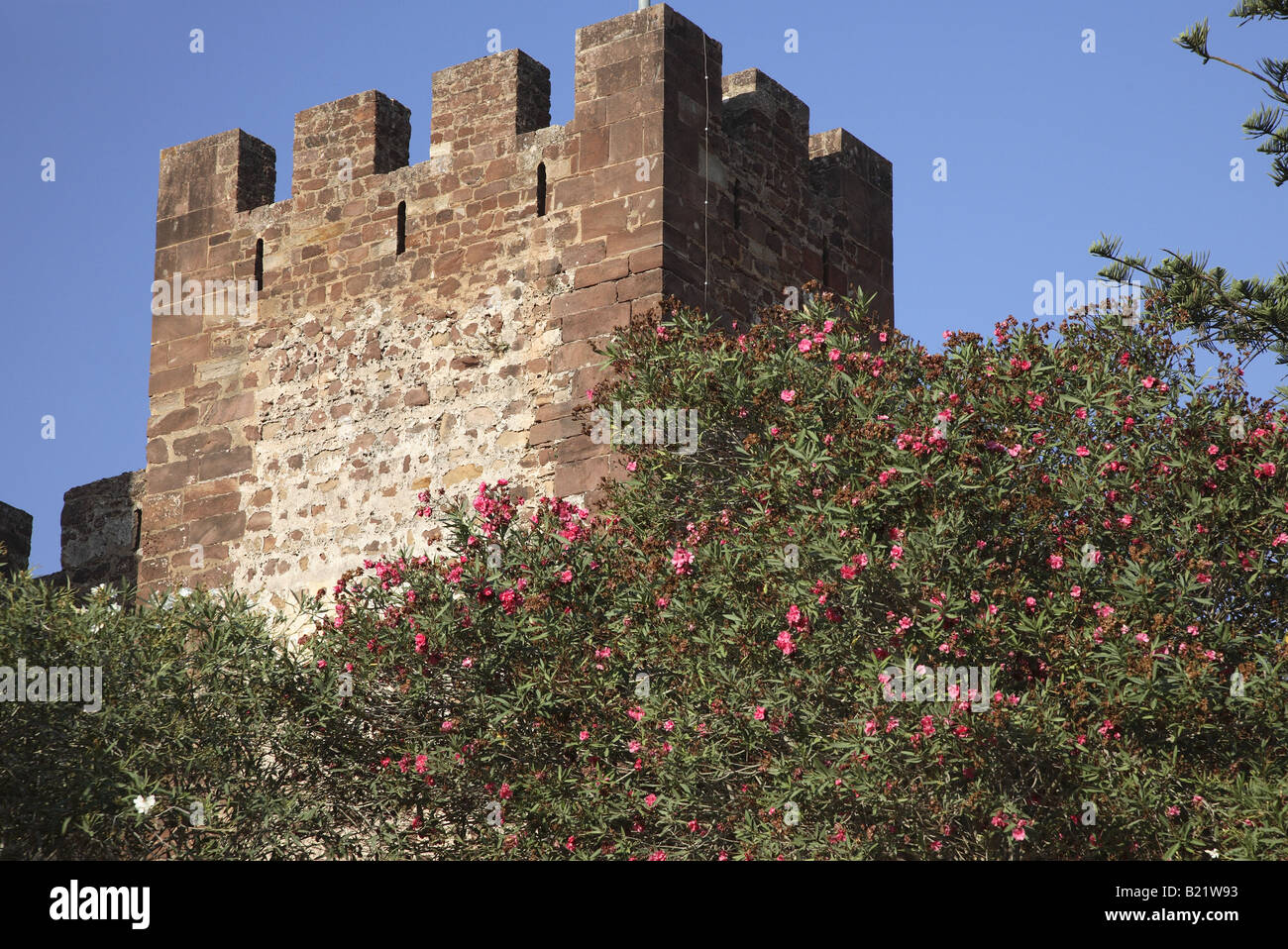 Silves Castle, Algarve, Portugal Stock Photo - Alamy