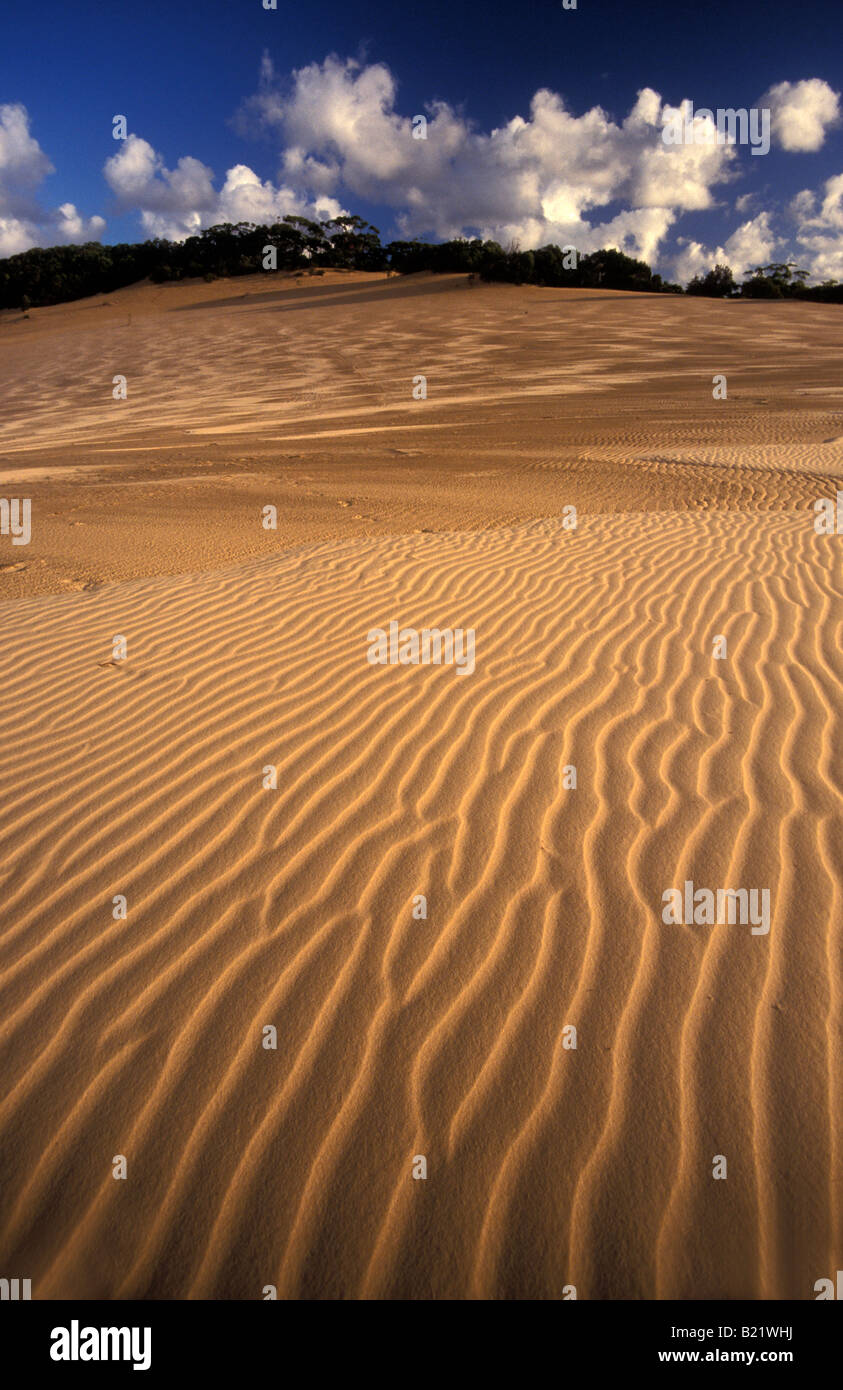 australia queensland rainbow beach dunes Stock Photo - Alamy