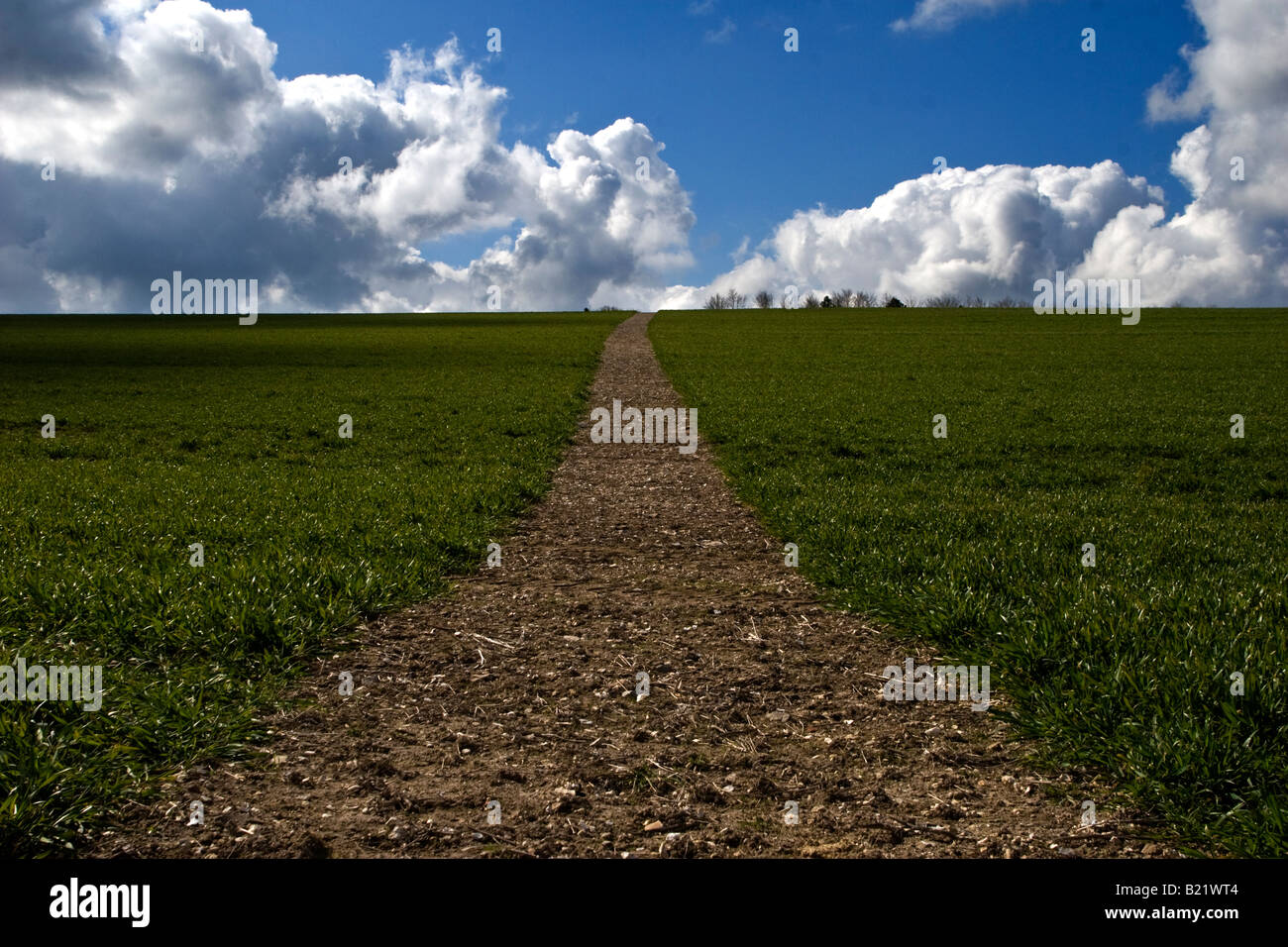 A long straight path leading through the green fields against a blue ...