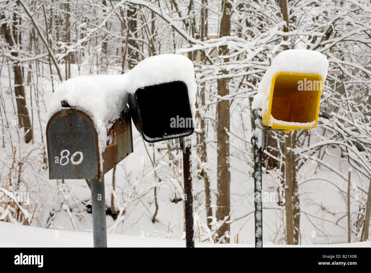 A mailbox and newspaper boxes line up on the edge of a New England ...