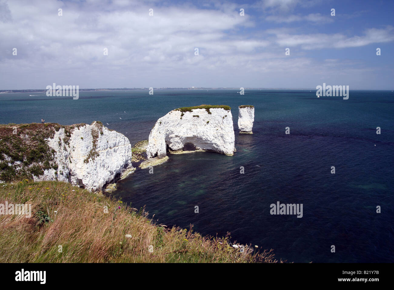 Old Harry Rocks near Poole in Dorset in England Stock Photo - Alamy
