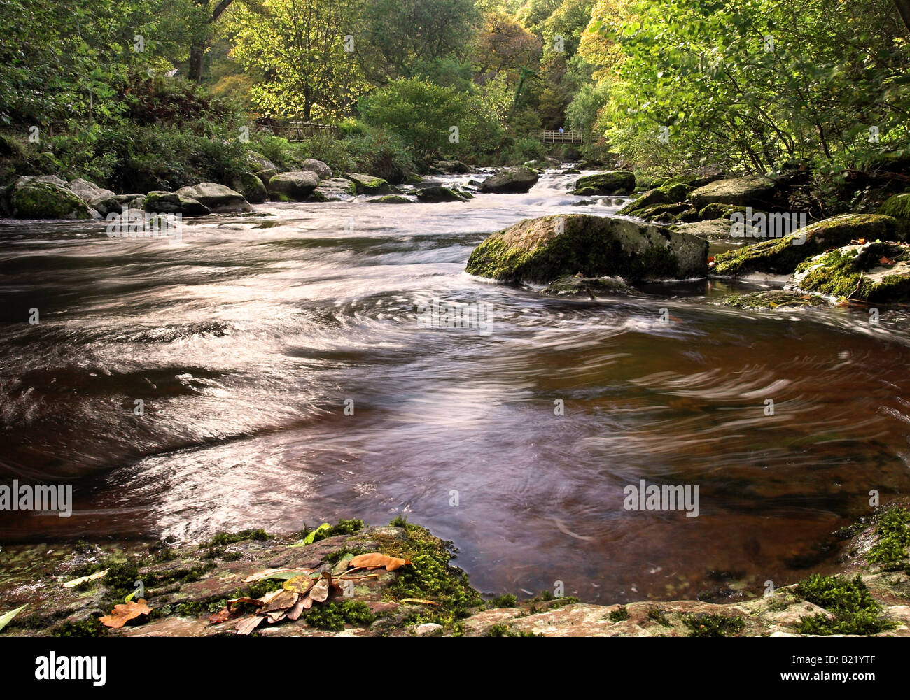 Watersmeet, Devon, England, UK Stock Photo - Alamy