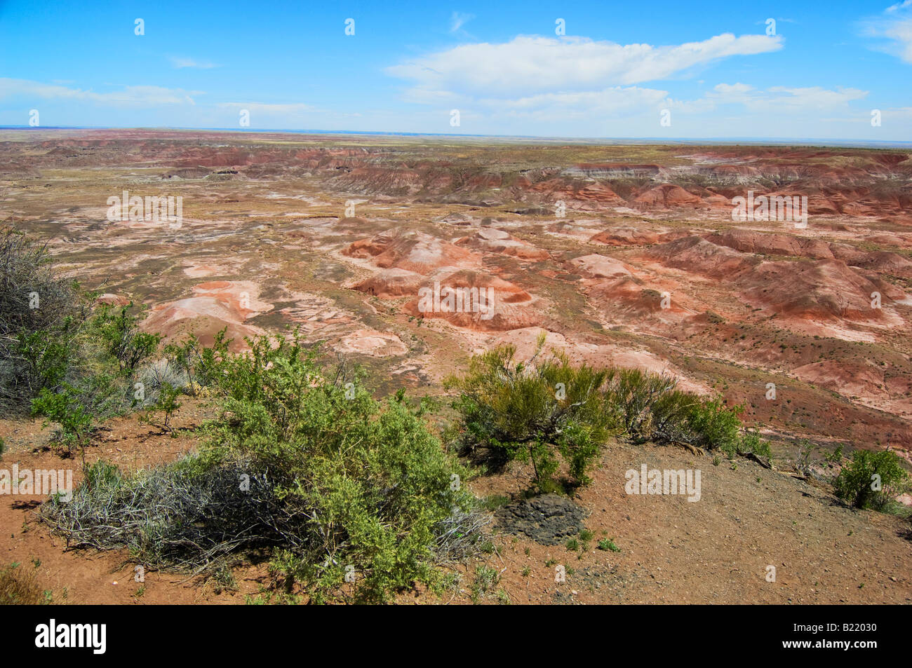 Painted Desert in the Petrified Forest National Park in Arizona Stock ...