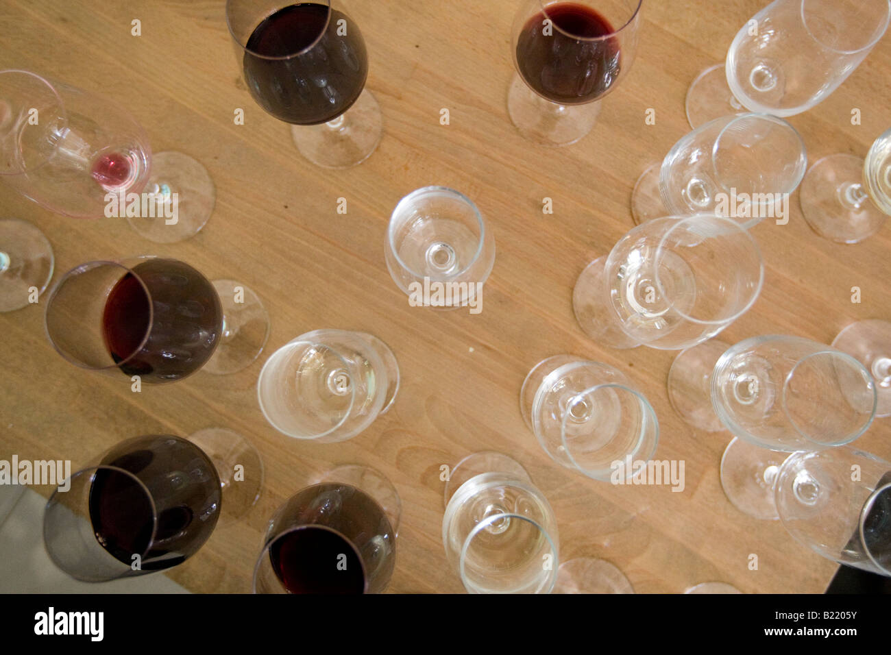 wine glasses during a wine tasting session Stock Photo - Alamy