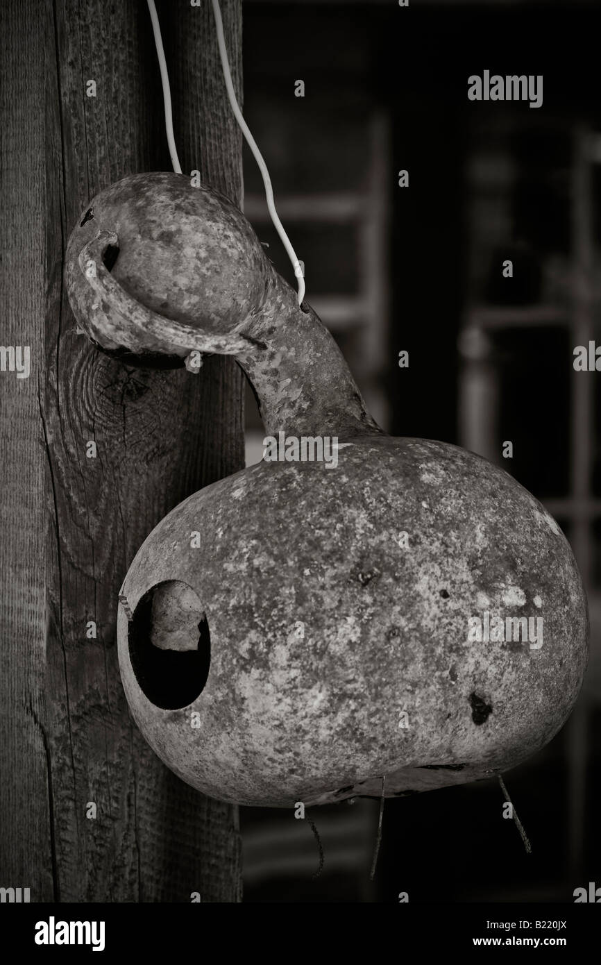Native american gourd hi-res stock photography and images - Alamy