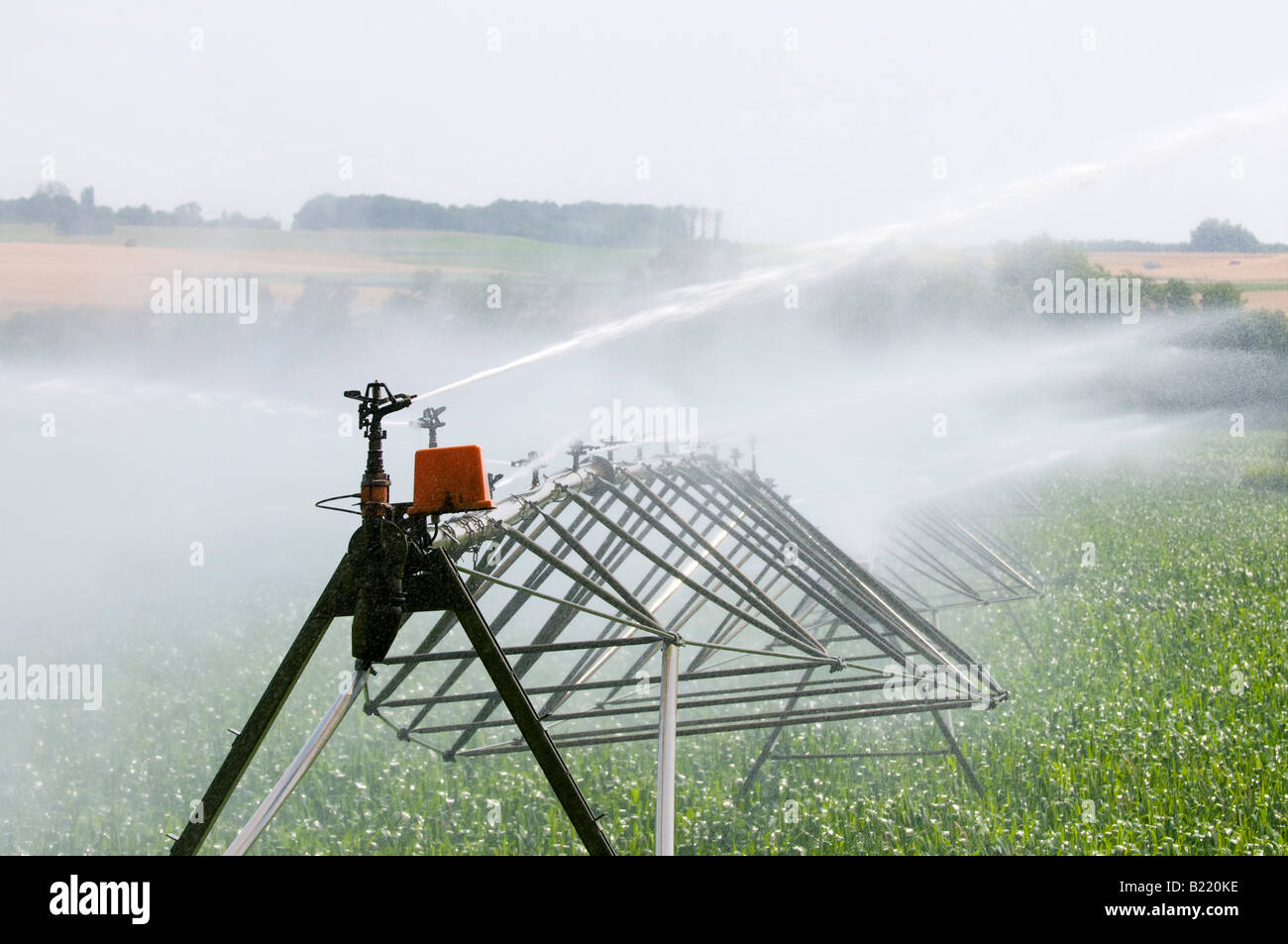 Maize irrigation hi-res stock photography and images - Alamy