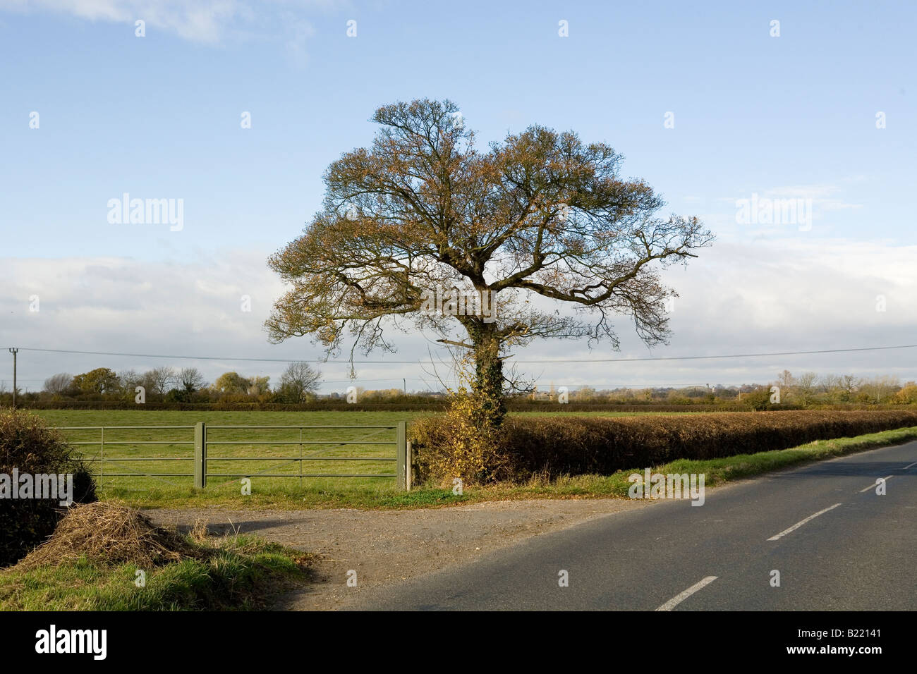 Side of a country road hi-res stock photography and images - Alamy