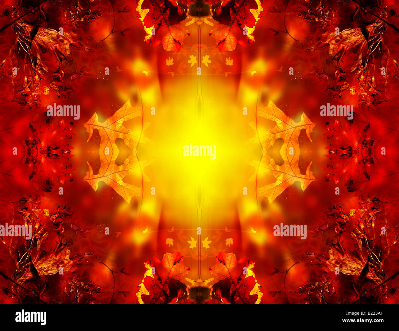 Abstract colorful floristic collage - texture, background Stock Photo ...