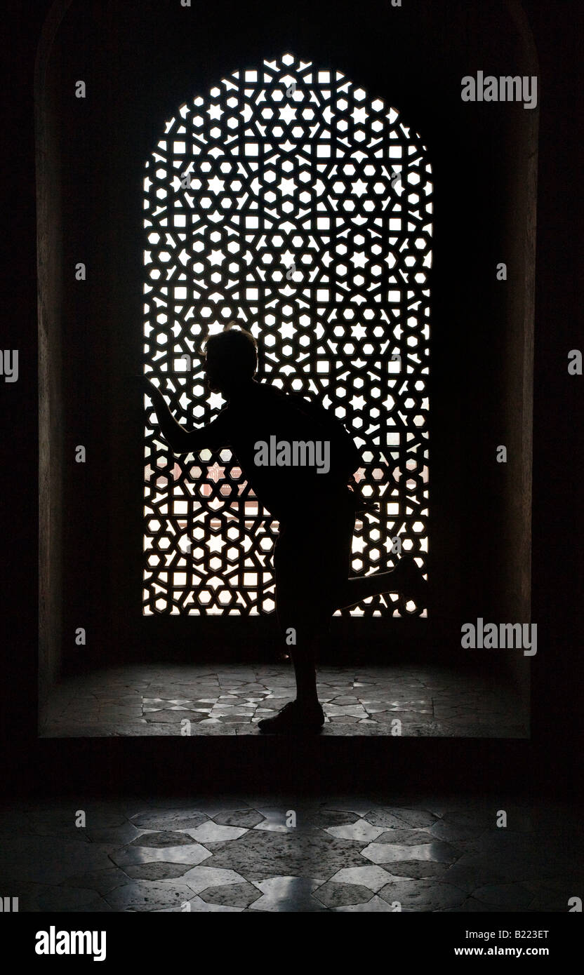 Window of HUMAYUNS TOMB a fine example of MUGHAL architecture NEW DELHI ...