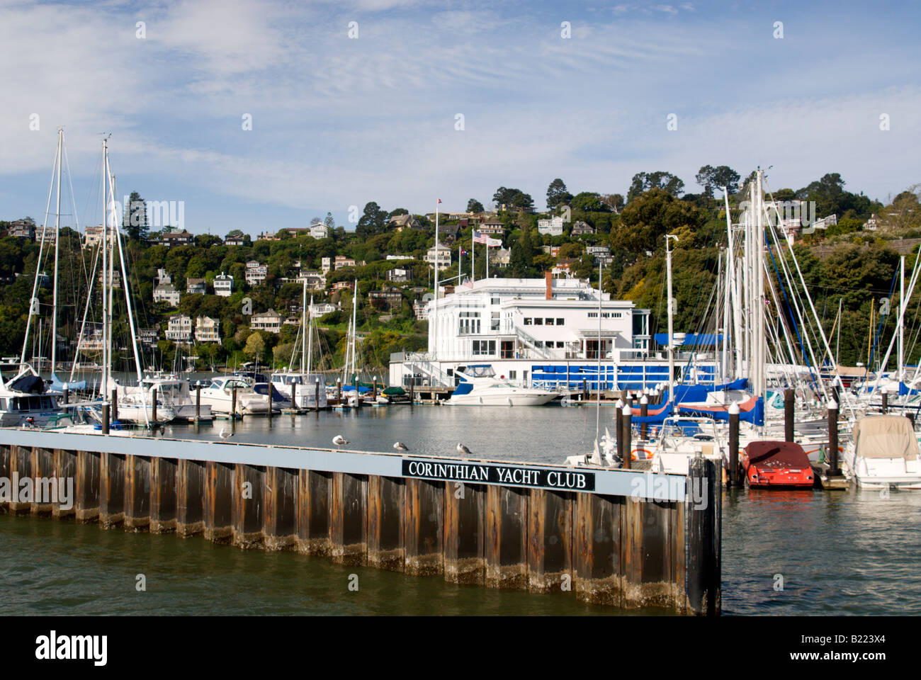 Tiburon, Marin County, California, Marina with Corinthian Yacht Club in ...