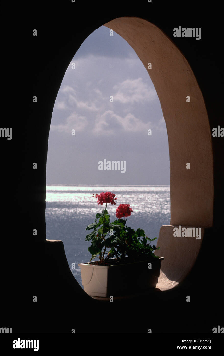 geraniums Mediterranean Sardegna Italy Stock Photo - Alamy