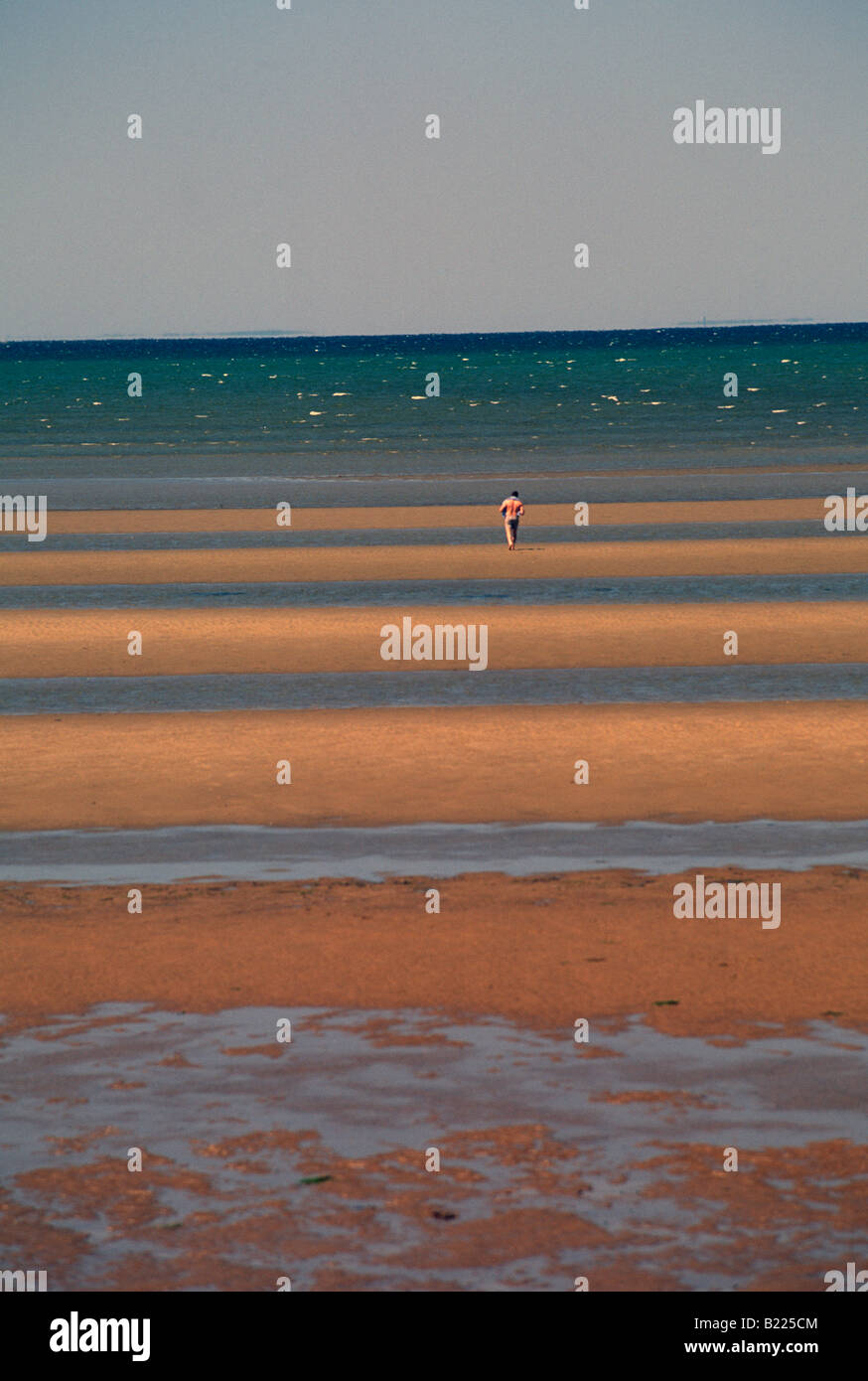 Man walking out across beach sand bar Cape Cod MA Stock Photo - Alamy