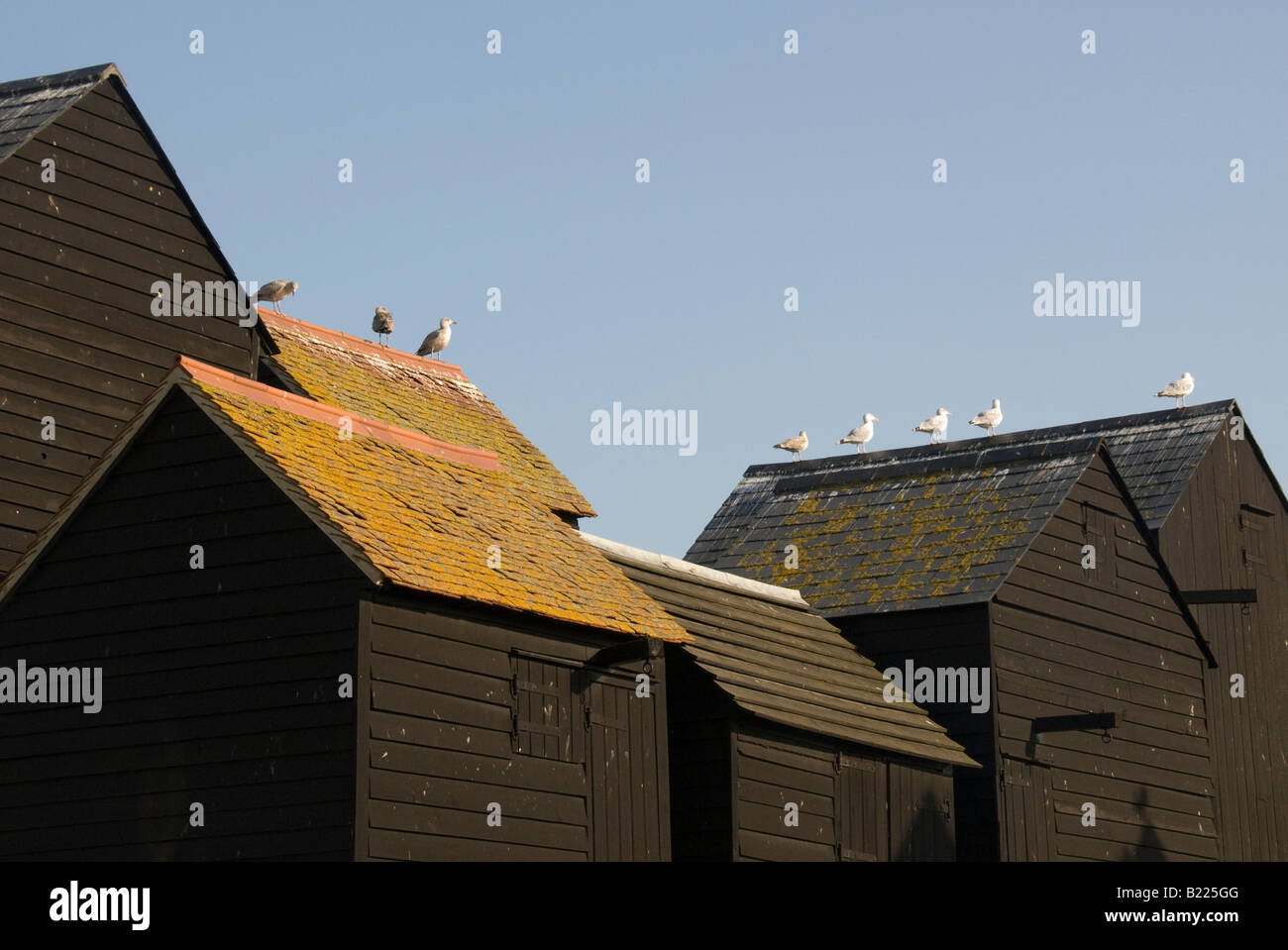 Fishing net huts, Hastings, Sussex Stock Photo - Alamy