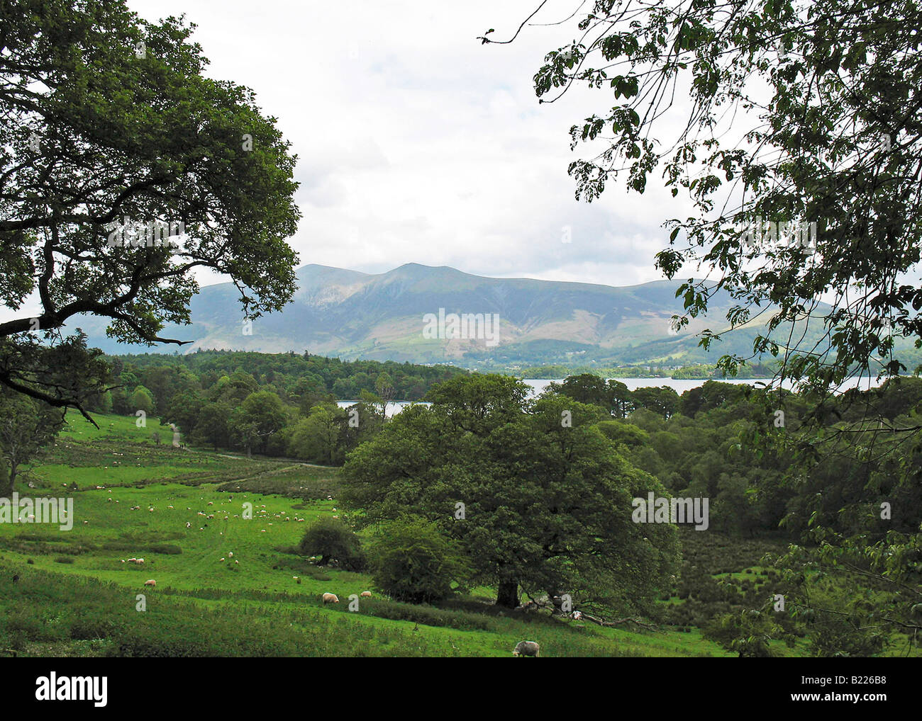 The Skiddaw range with Bassenthwaite Lake Stock Photo - Alamy