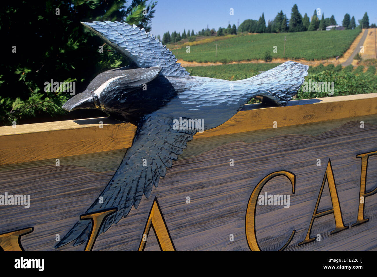 Lava cap winery hi-res stock photography and images - Alamy