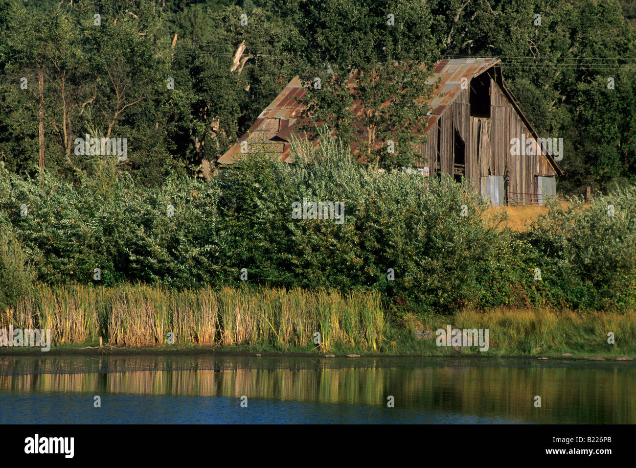 Barn and pond near Mt Aukum El Dorado County California Stock Photo - Alamy