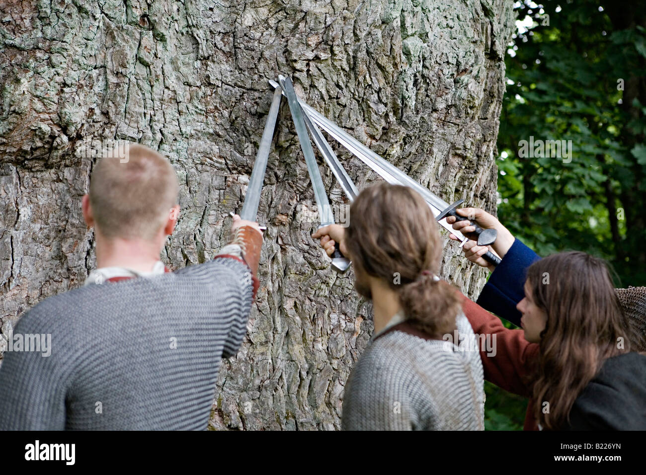 Medieval soldiers crossing swords around ancient oak tree Stock Photo ...
