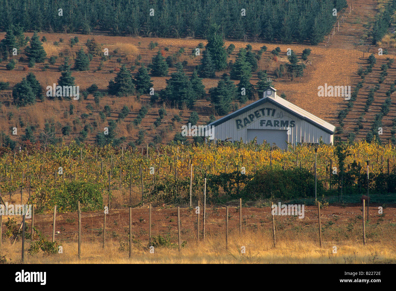 Viticulture farms hi-res stock photography and images - Alamy