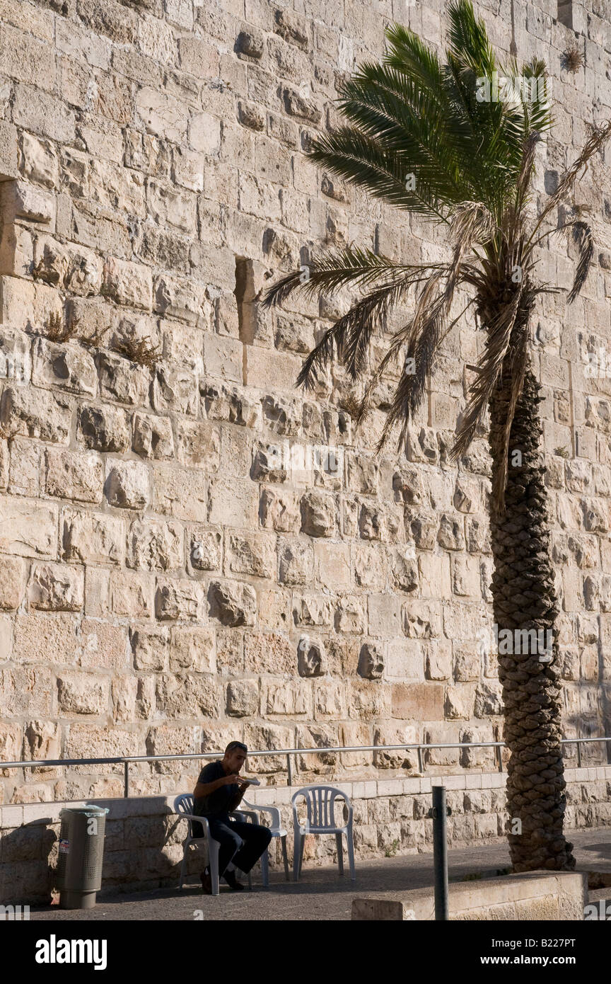 Israel Jerusalem Old City Jaffa Gate Man and palm tree outside Tower od ...