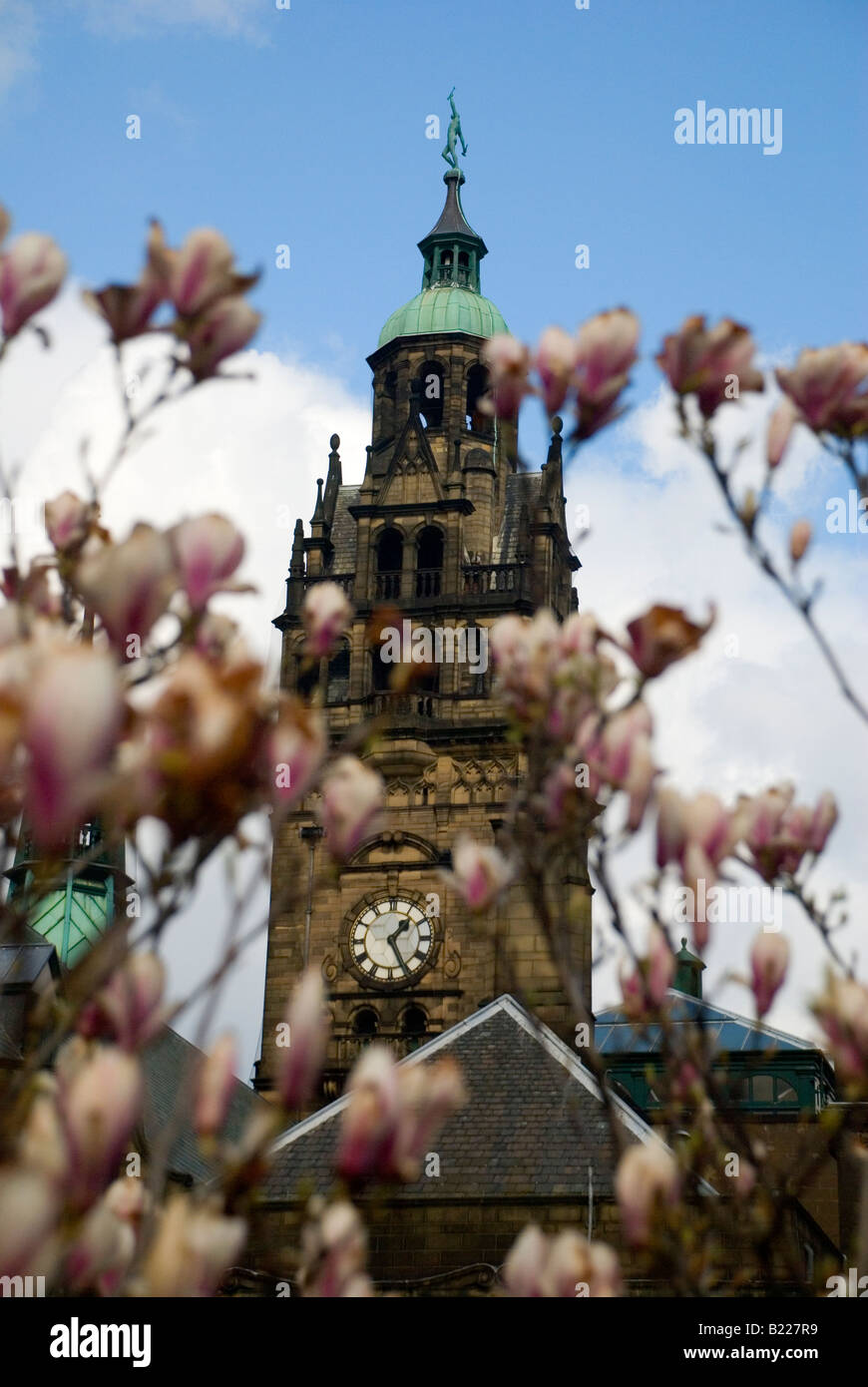 Sheffield Town Hall Clock Tower High Resolution Stock Photography and ...