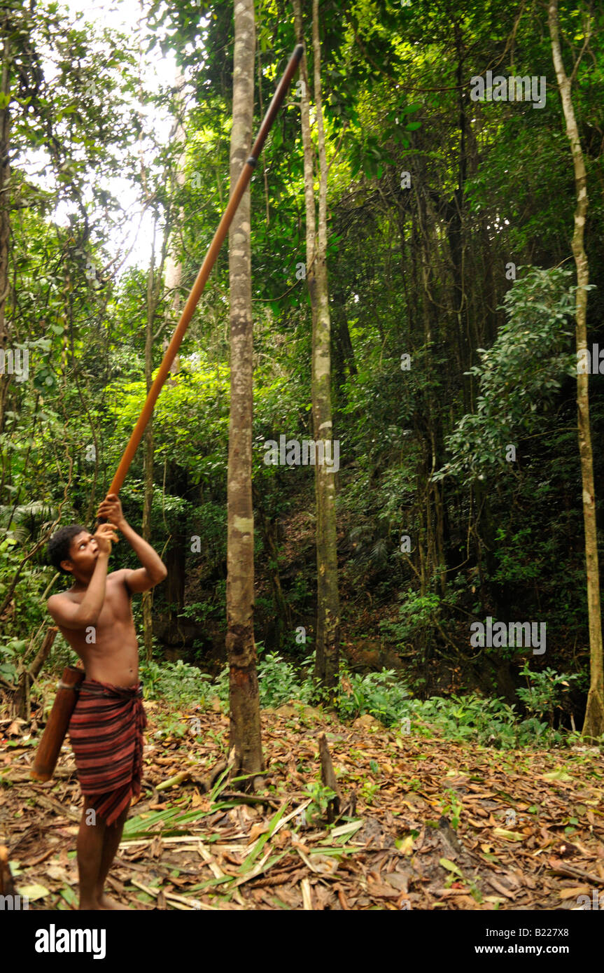 sakai hilltribe, south of trang , south thailand Stock Photo - Alamy