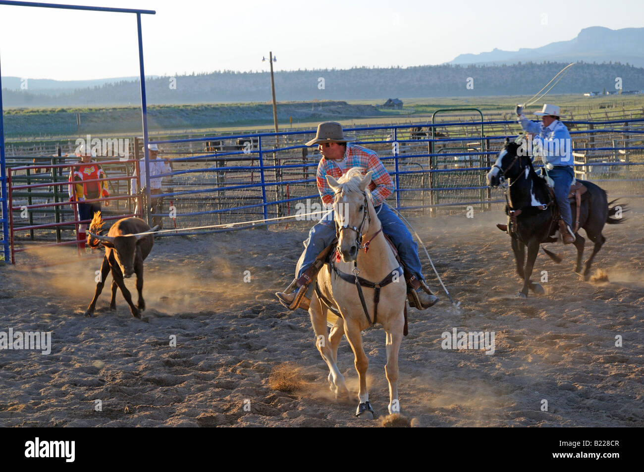 Bryce rodeo hi-res stock photography and images - Alamy