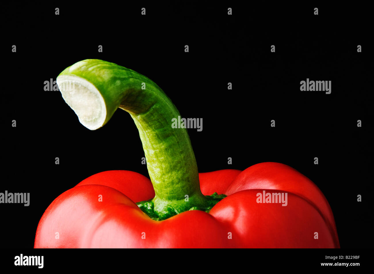 Stalk and top of red pepper Stock Photo - Alamy