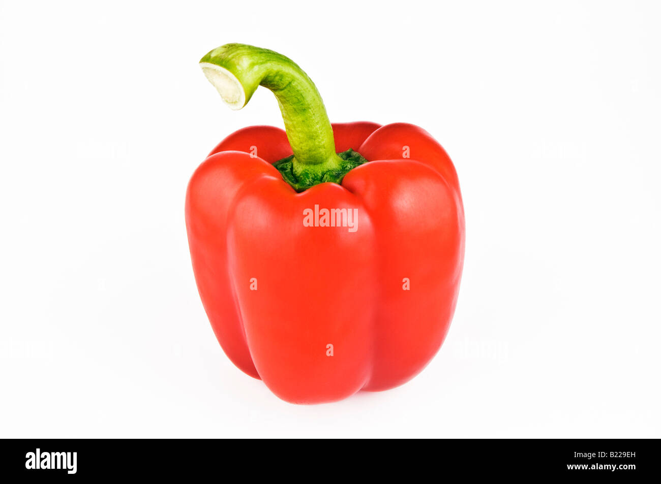 Single red pepper Stock Photo - Alamy