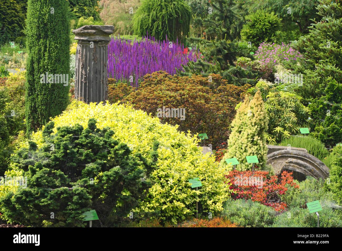 The lush greenery of June Stock Photo - Alamy