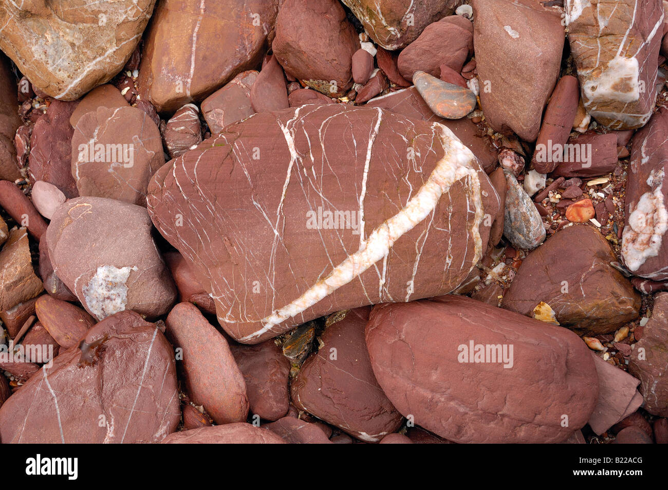 Abstract close up image of rocks and shingle on a beach Stock Photo - Alamy
