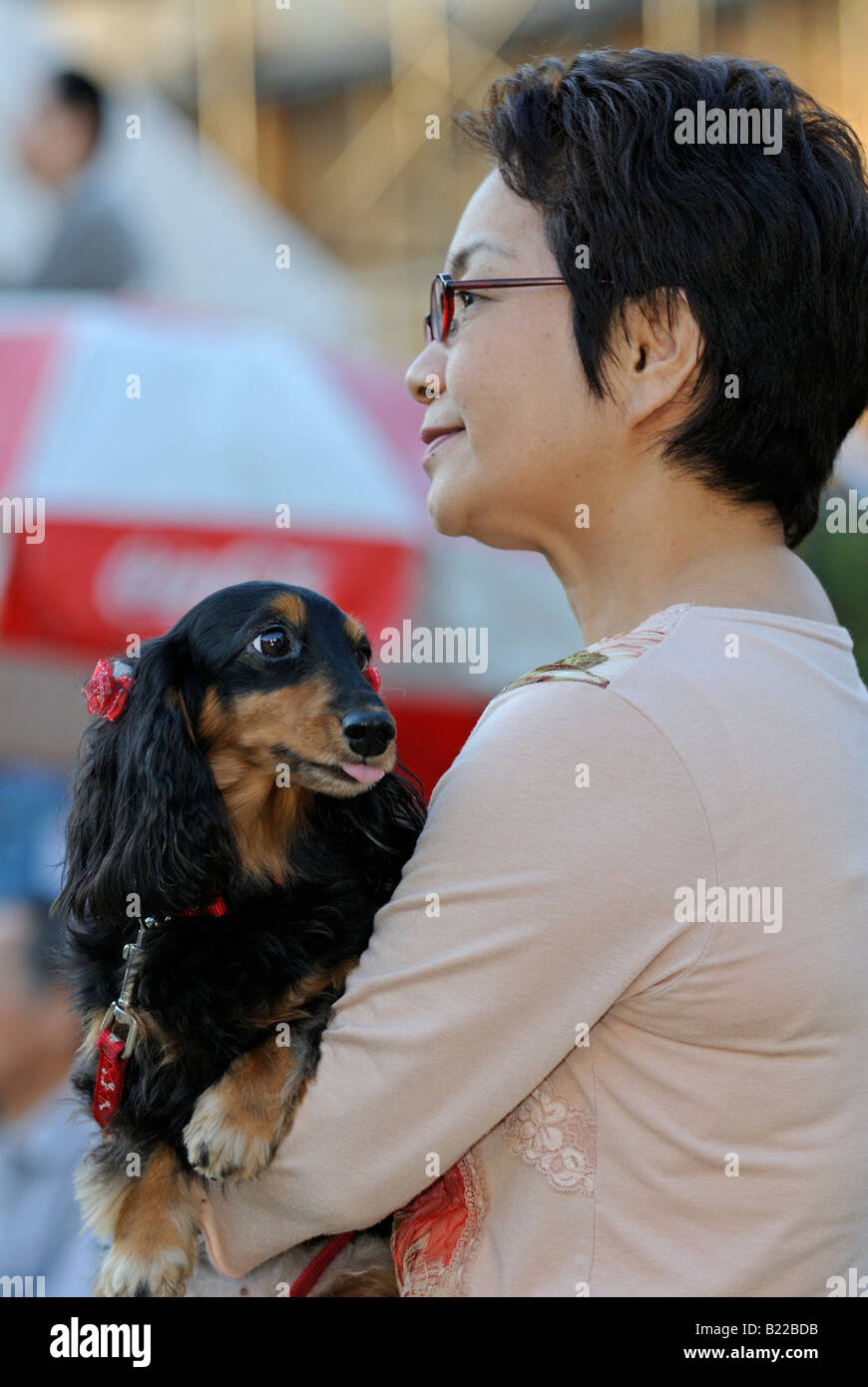 Lady carrying dog hi-res stock photography and images - Alamy