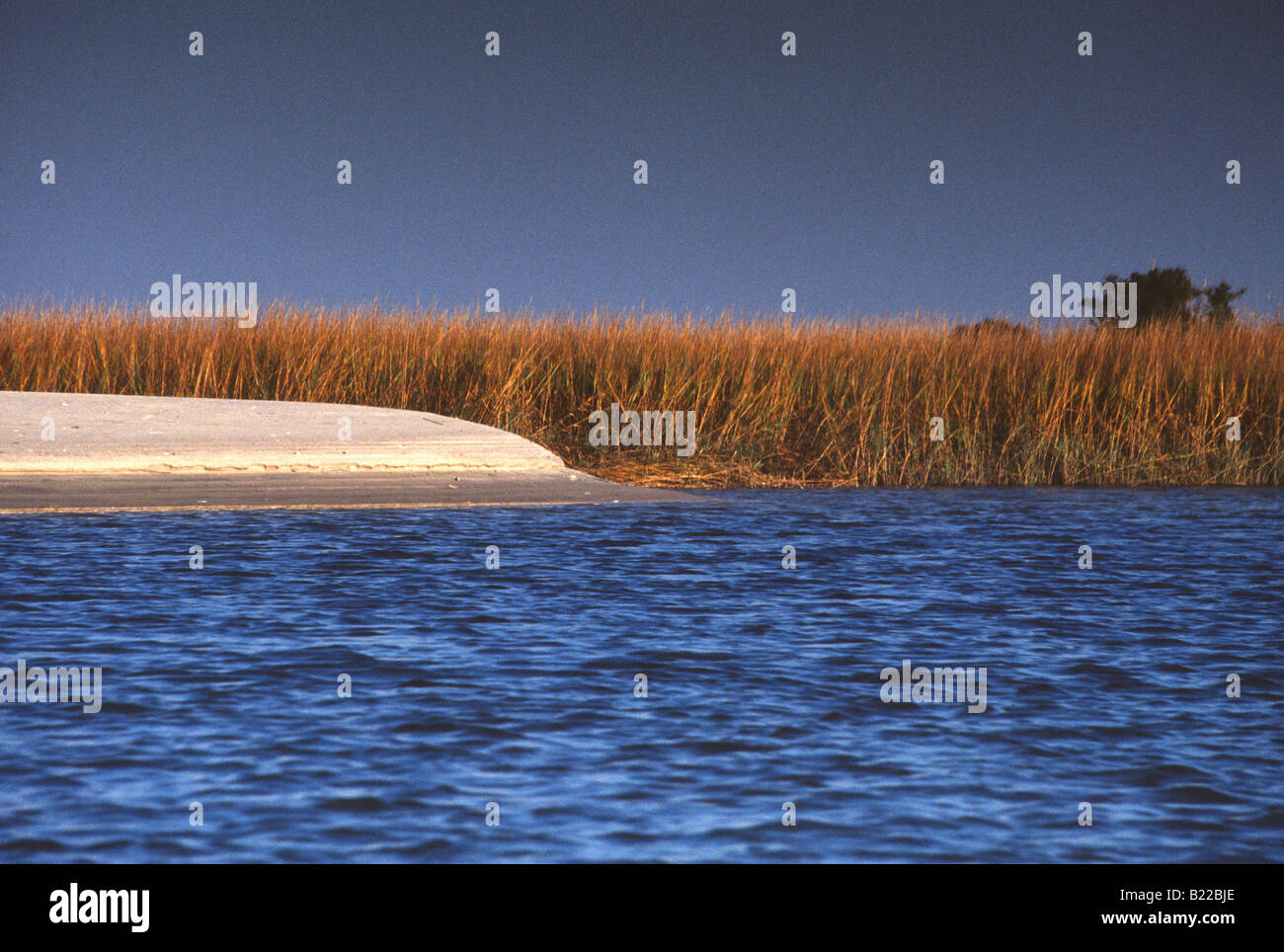 Channel beach in wetlands SC Stock Photo - Alamy