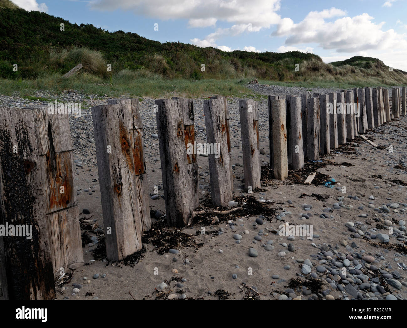 Line of wooden Groynes Groins along a pebble stone beach county down ...
