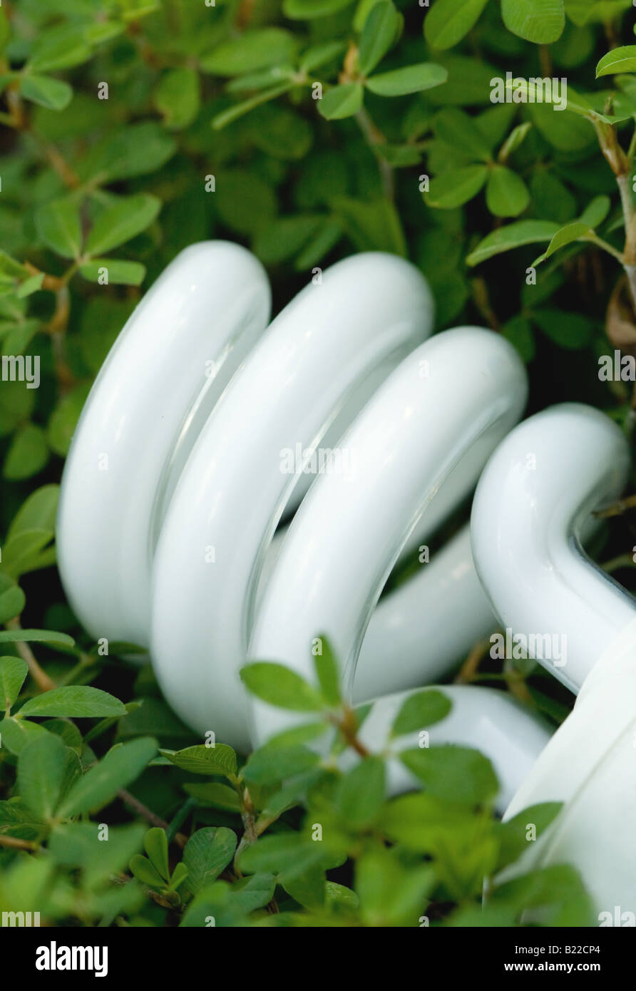 Compact fluorescent lighting hi-res stock photography and images - Alamy