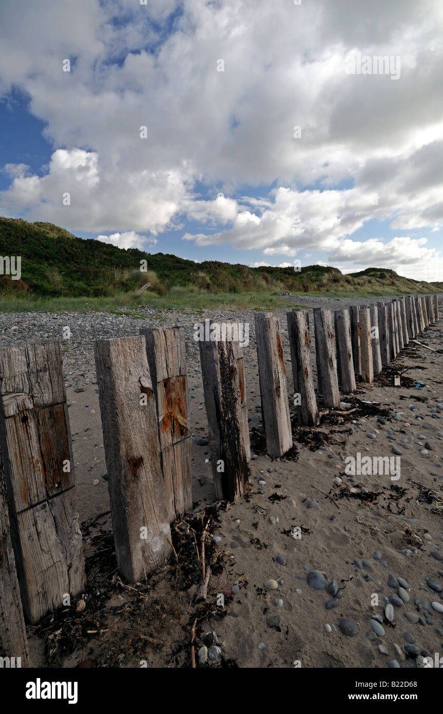 Line of wooden Groynes Groins along a pebble stone beach county down ...