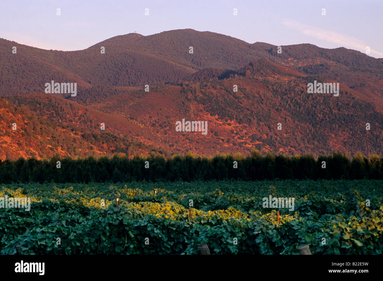 Mount farm lake hi-res stock photography and images - Alamy