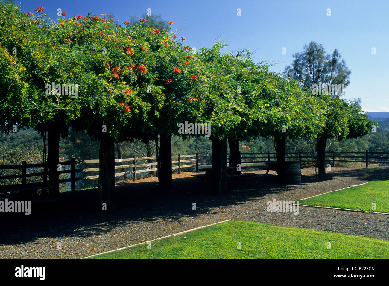 Guenoc and Langtree Estate Vineyards and Winery near Clear Lake Lake ...